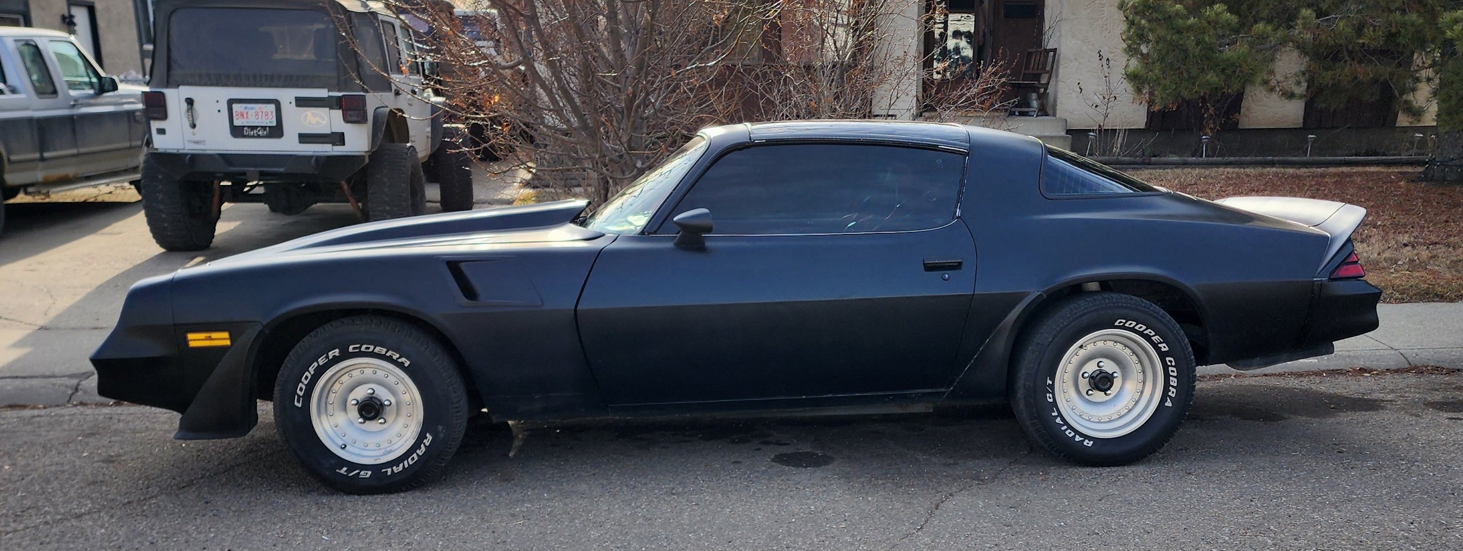 Amber's 1981 Chevrolet Camaro - Holley My Garage