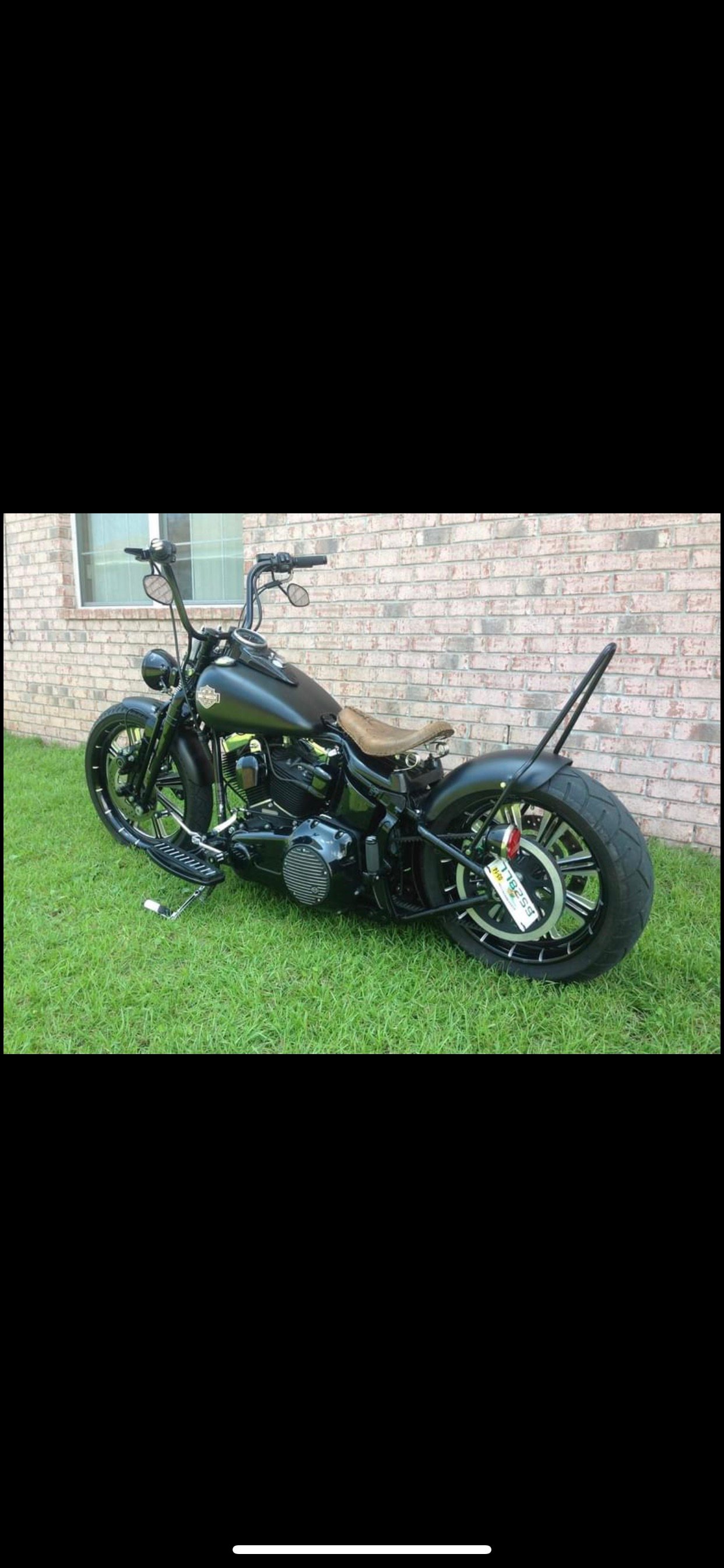 Mack's 2009 Harley-Davidson FLSTSB Cross Bones - Holley My Garage