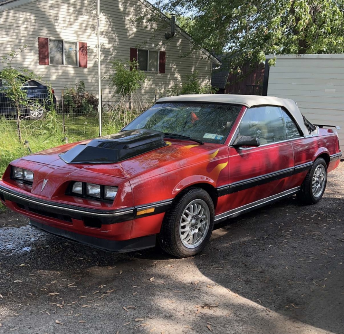 Calabay's 1984 Pontiac J2000 Sunbird - Holley My Garage