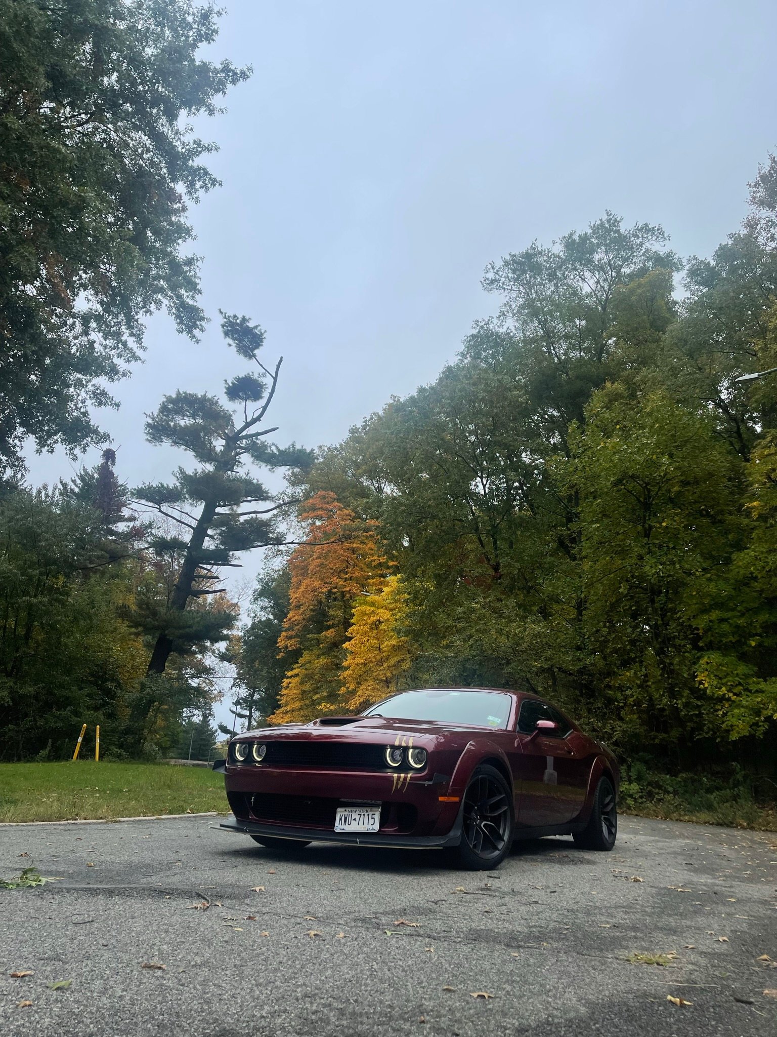 Kyle's 2019 Dodge Challenger - Holley My Garage