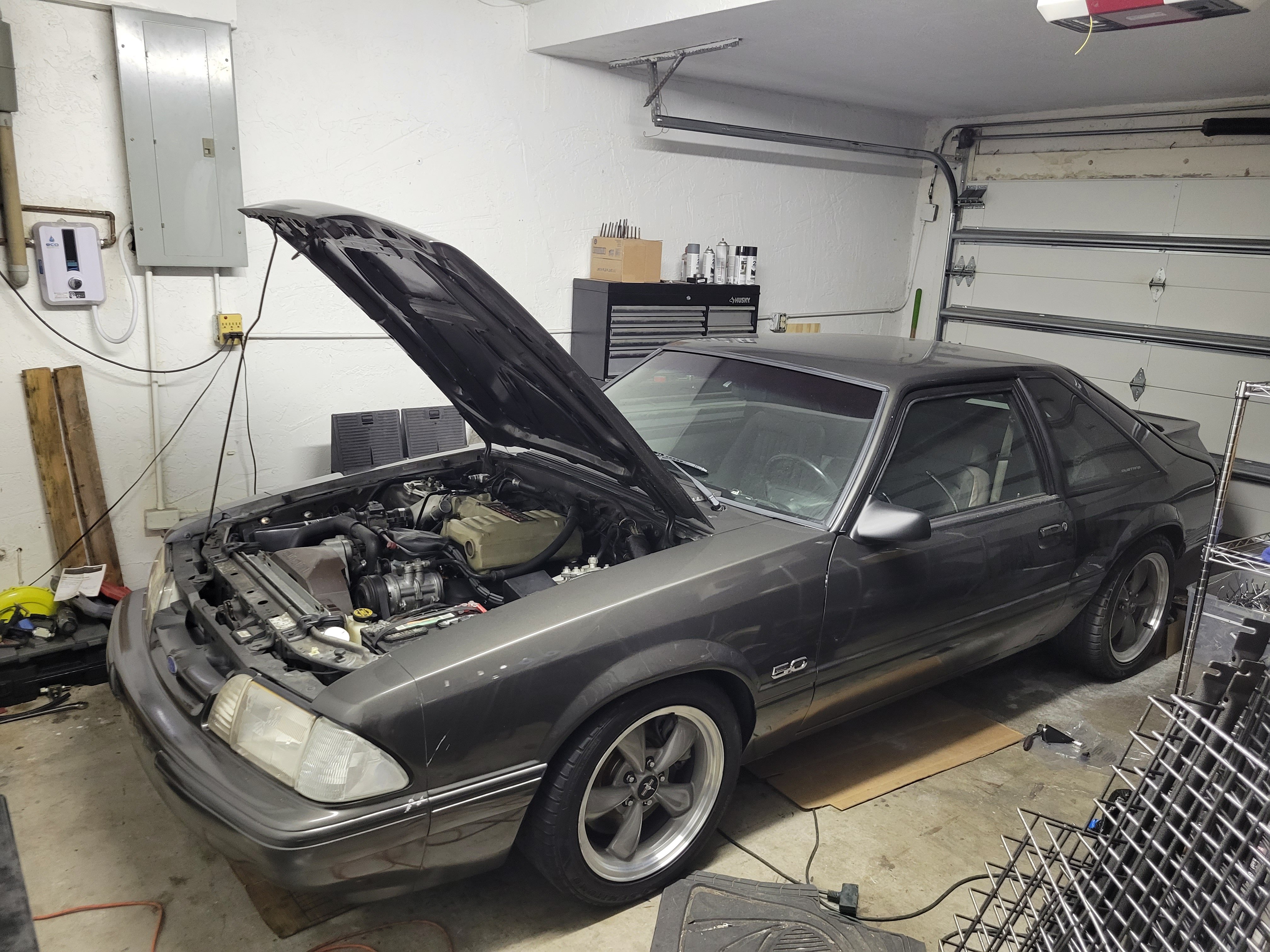 Danei's 1990 Ford Mustang - Holley My Garage