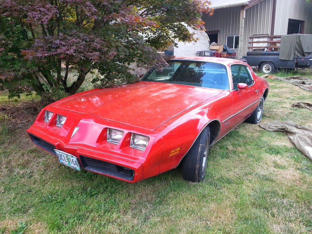 Chris's 1981 Pontiac Firebird - Holley My Garage