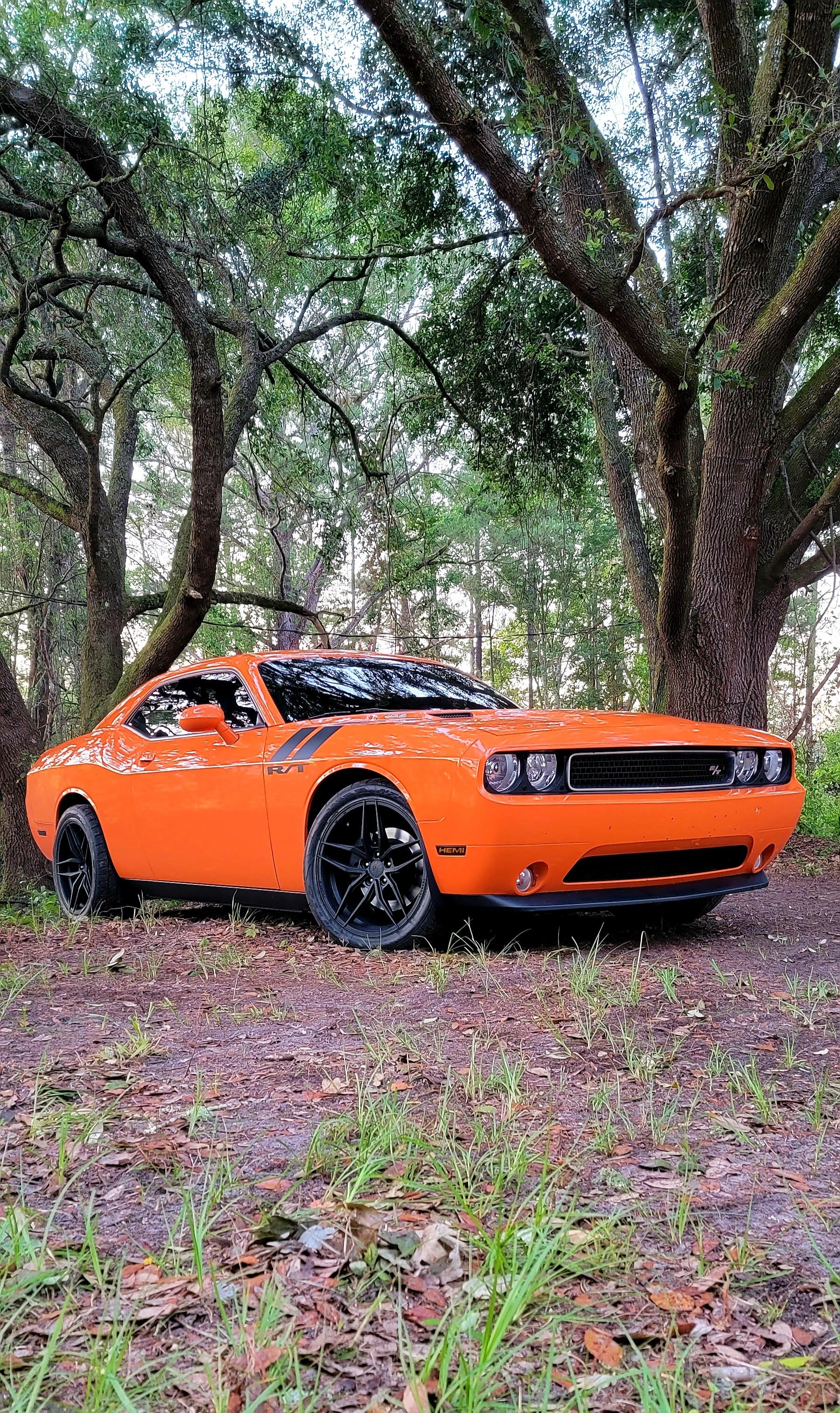 Christopher's 2014 Dodge Challenger - Holley My Garage