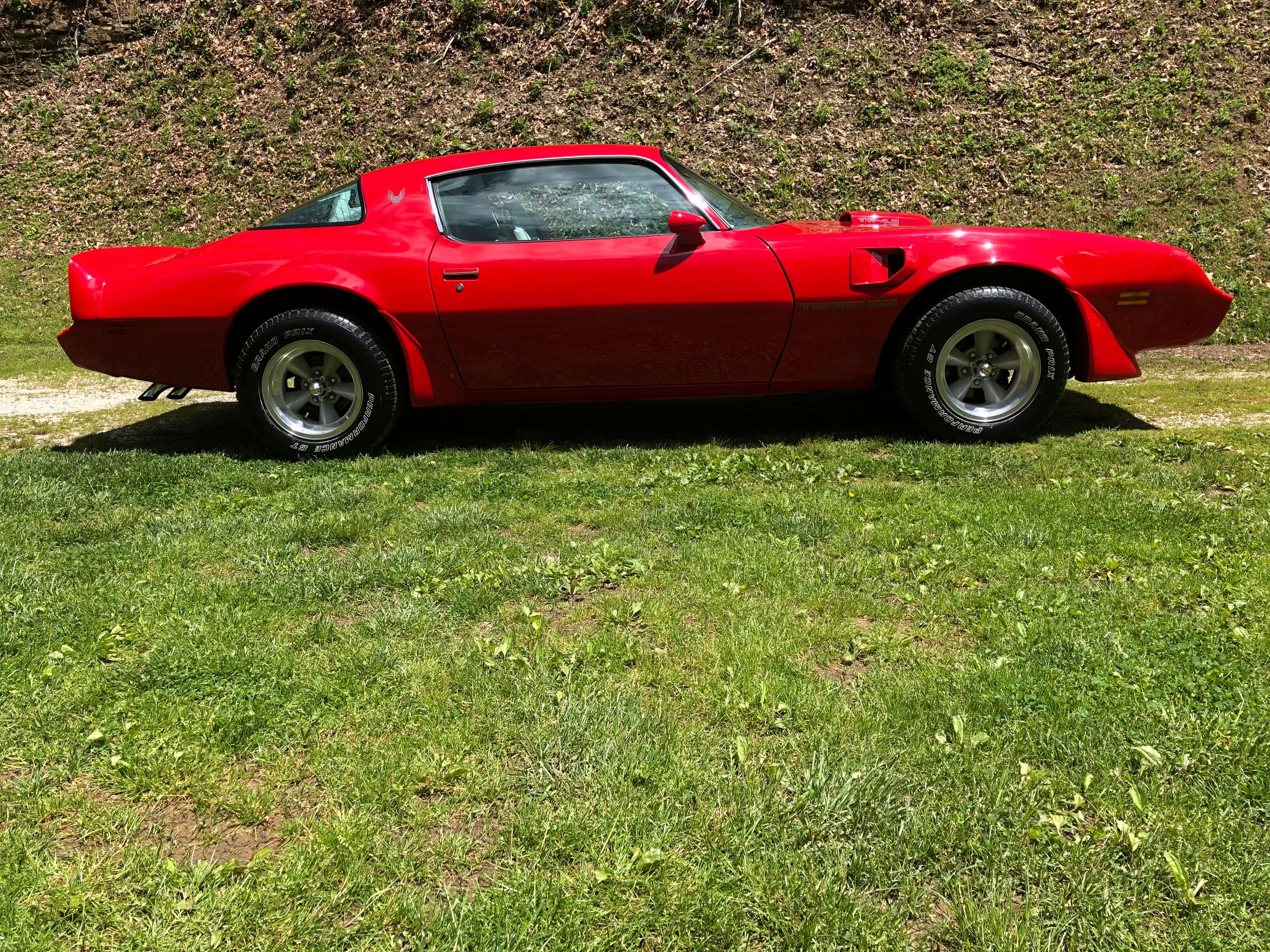 Timothy's 1980 Pontiac Firebird - Holley My Garage